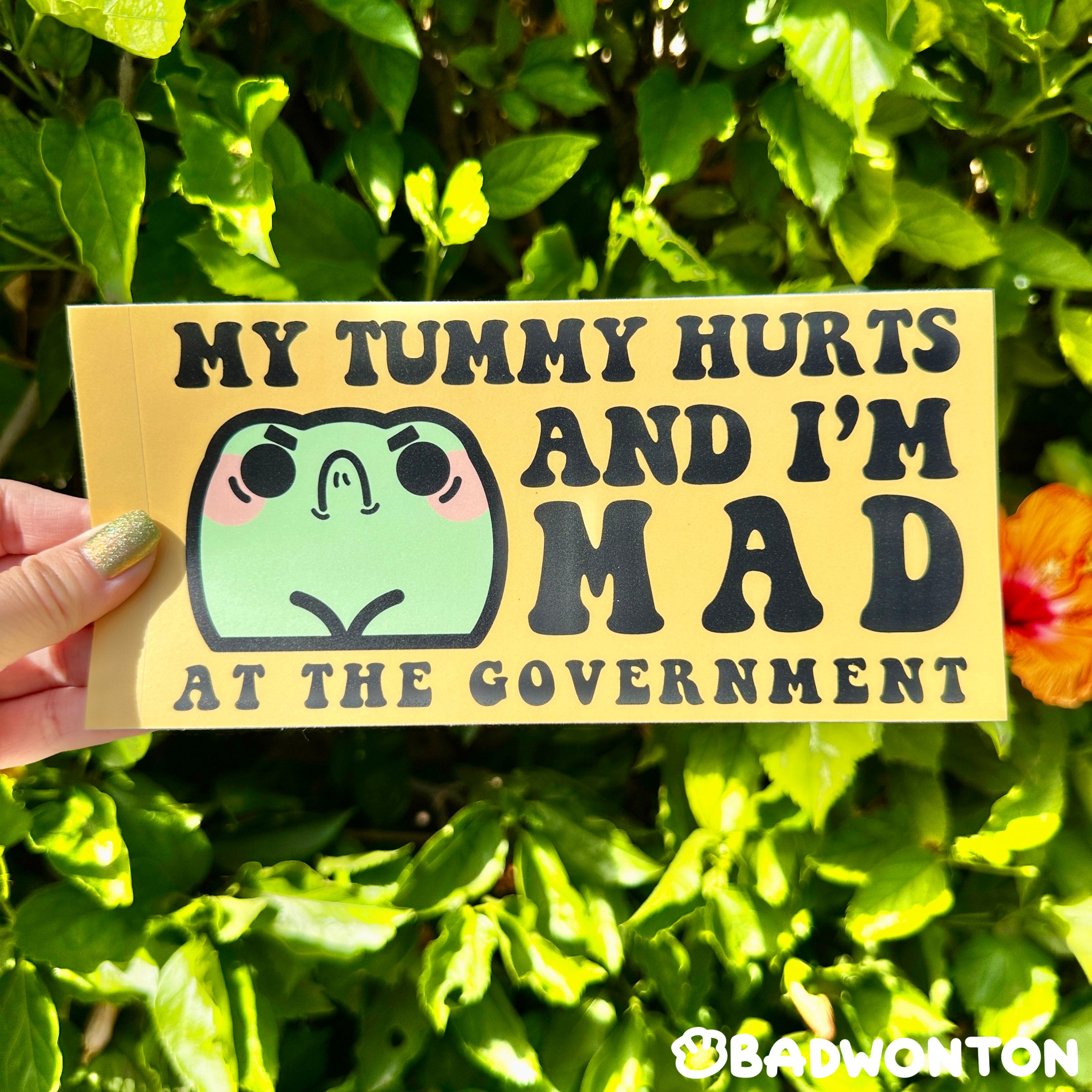 My Tummy Hurts And I'm Mad At The Government Bumper Sticker – badwonton