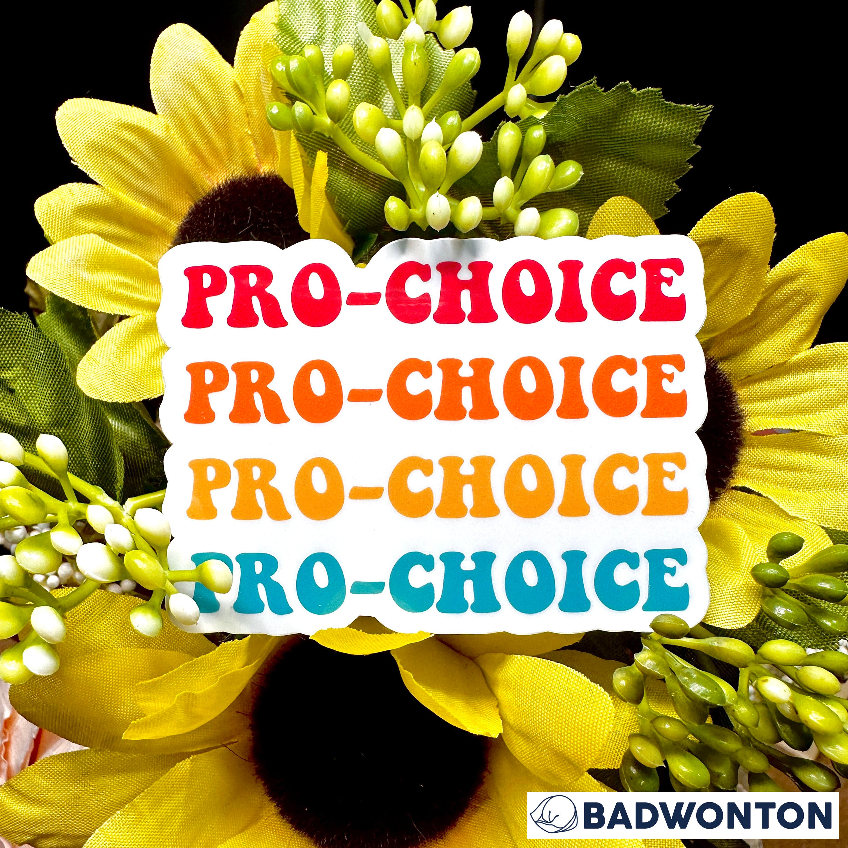 Retro Pro Choice Sticker – badwonton