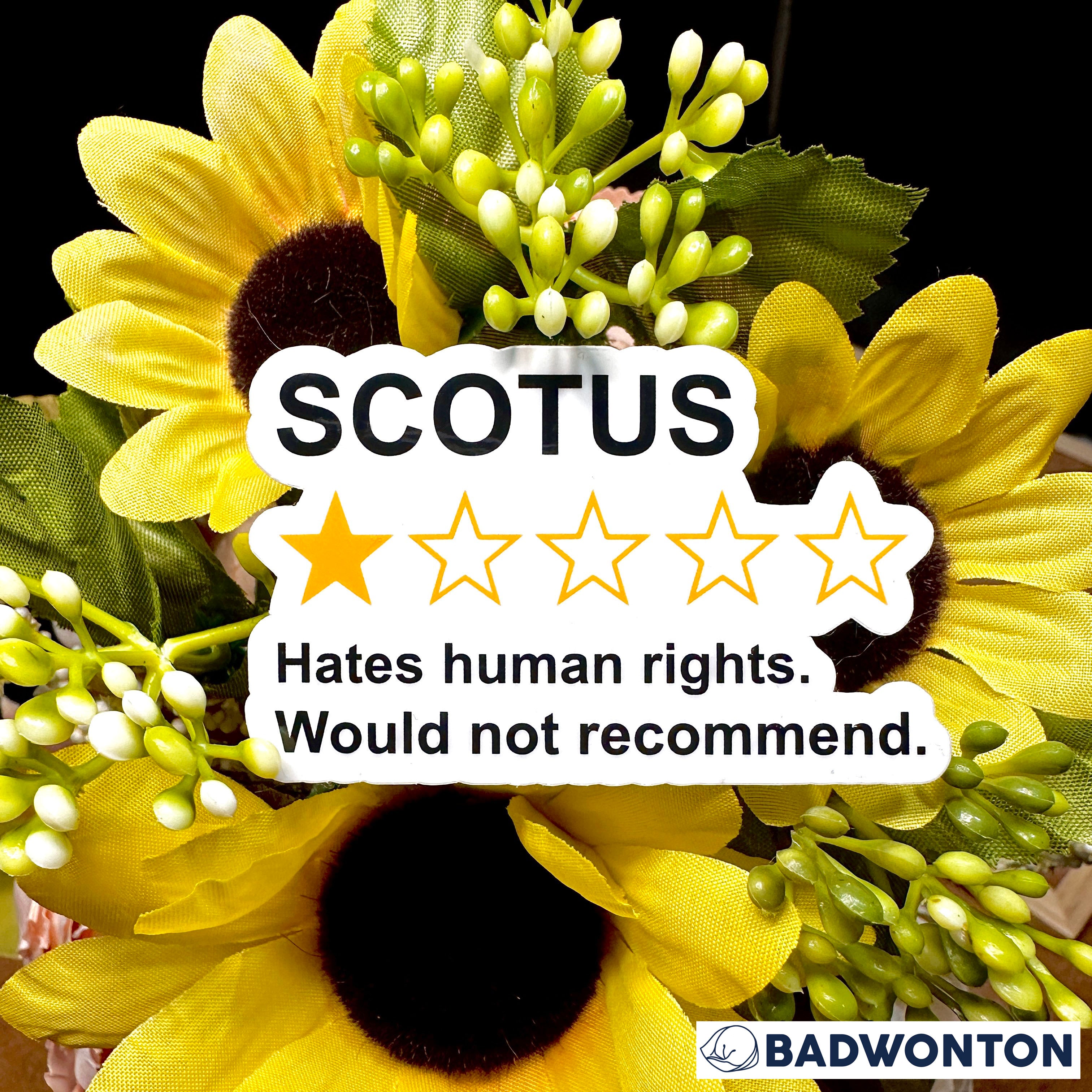 SCOTUS Review Sticker – badwonton